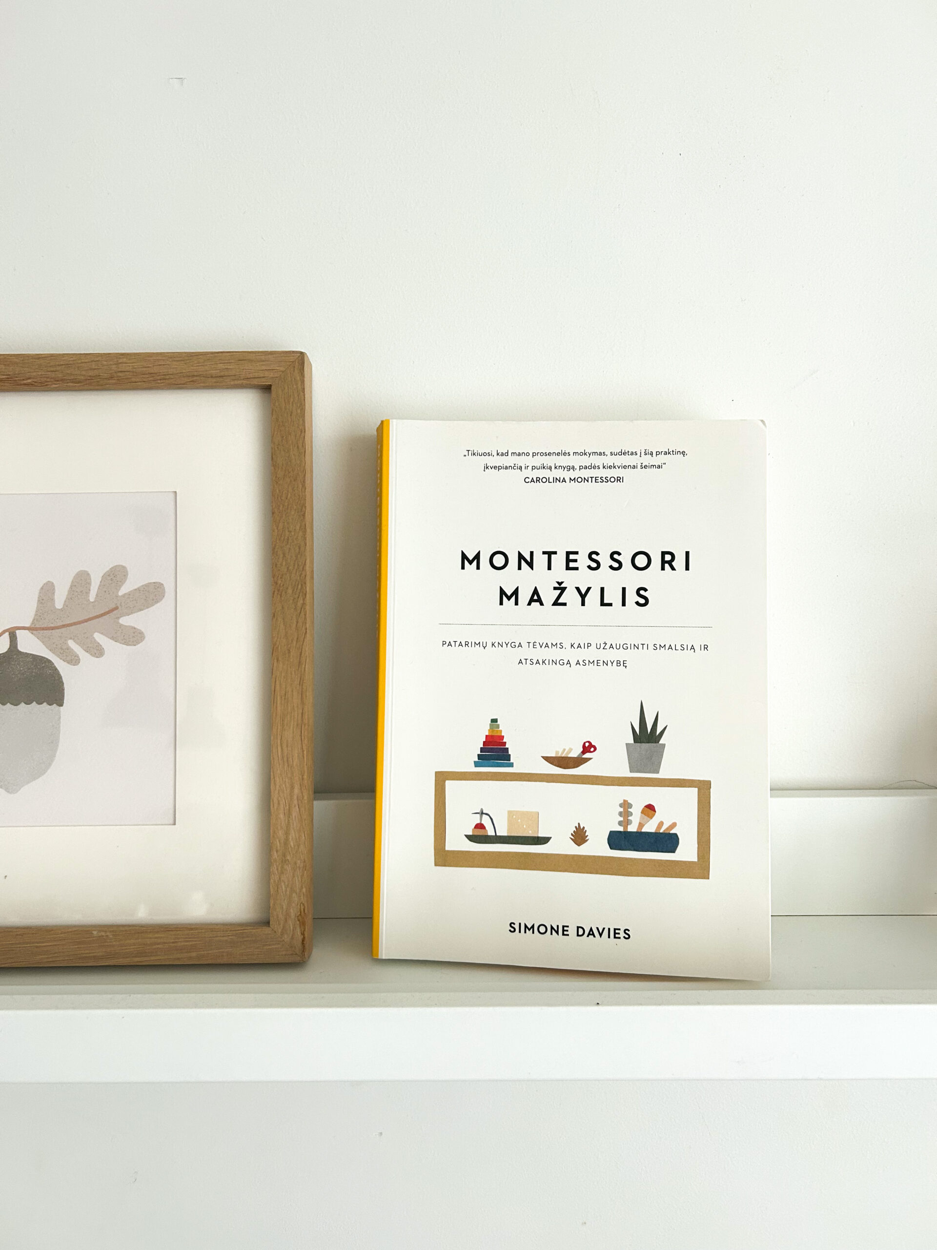 Simone Davies - Montessori mažylis - Perskaičiau