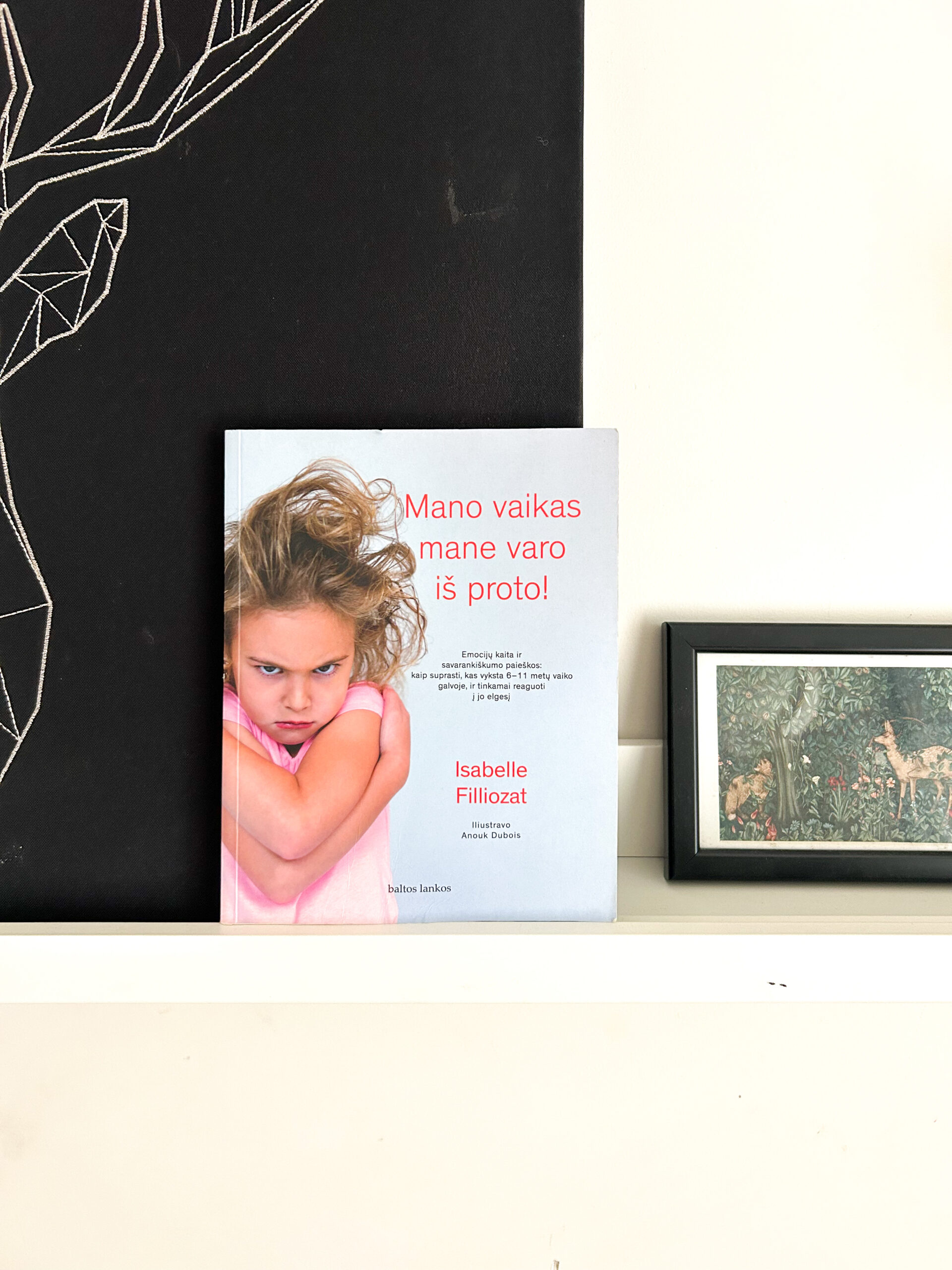 Isabelle Filliozat - Mano vaikas mane varo iš proto - Perskaičiau